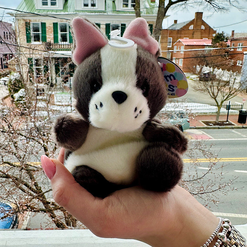 Beau French Bulldog – Scarpa Alta